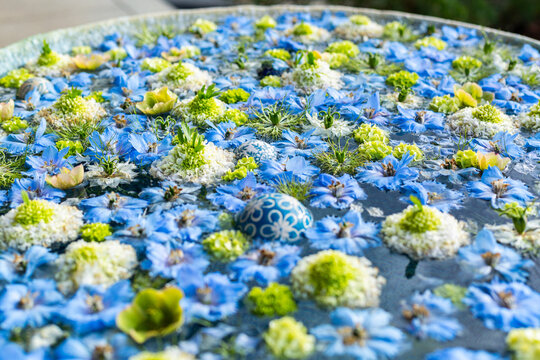 「青い花」の画像 - 776,885 件の Stock 写真、ベクターおよびビデオ | Adobe Stock