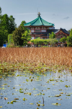 Catamite 影像 – 瀏覽 1,098 個素材庫相片、向量圖和影片 | Adobe Stock