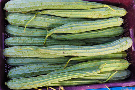 Chichinga Images – Browse 820 Stock Photos, Vectors, and Video | Adobe ...