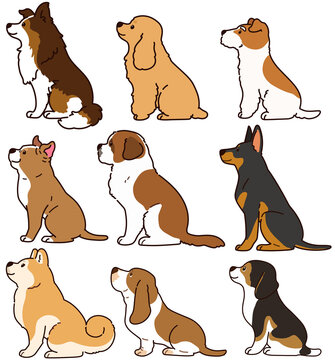 Dog Sitting Side View Drawing