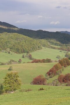 Maj Bilder – Durchsuchen 3,957 Archivfotos, Vektorgrafiken und Videos ...