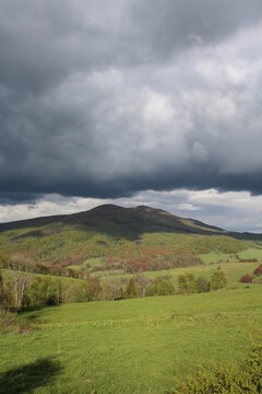 Maj Bilder – Durchsuchen 3,957 Archivfotos, Vektorgrafiken und Videos ...
