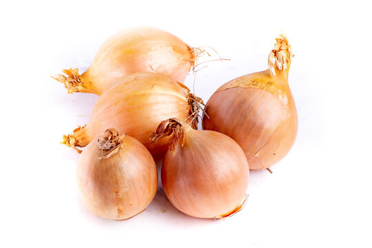 「Ebula」の写真素材 | 15件の無料イラスト画像 | Adobe Stock