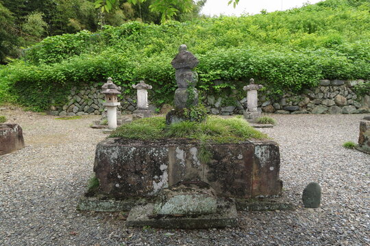 รูปภาพCatamite – เลือกดูภาพถ่ายสต็อก เวกเตอร์ และวิดีโอ1,098 | Adobe Stock