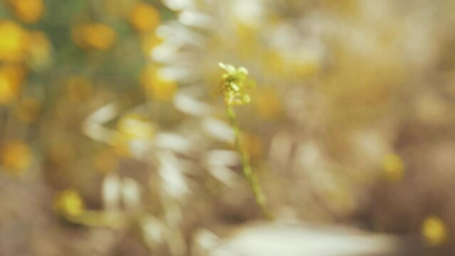 Ozone-Layer Images – Browse 236 Stock Photos, Vectors, and Video ...