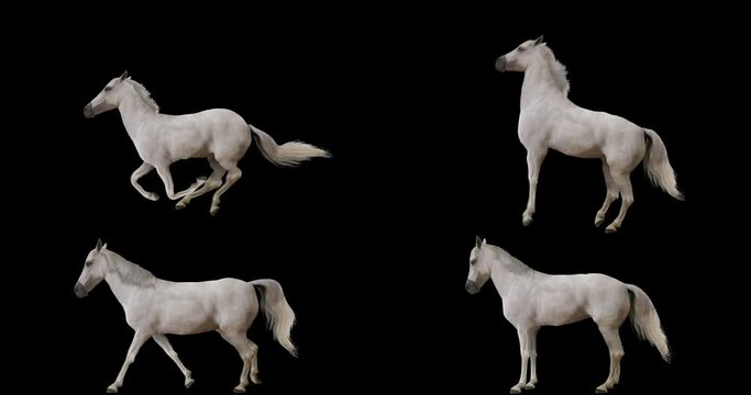 Horse Running Animation Images – Browse 2,270 Stock Photos, Vectors ...