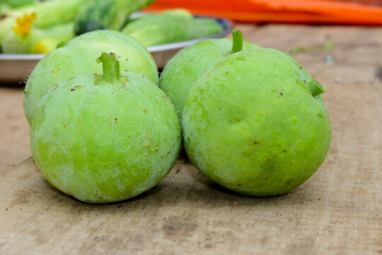 Tinda Gourd