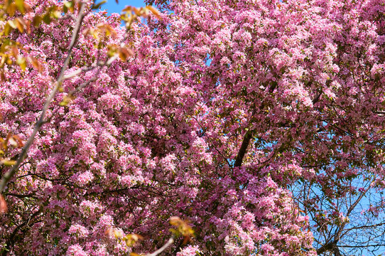 「Dosug」の画像 - 33 件の Stock 写真、ベクターおよびビデオ | Adobe Stock