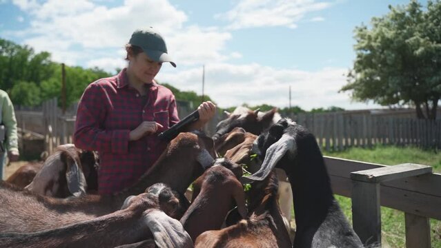 "Woman Farmer" Images – Browse 1,039 Stock Photos, Vectors, and Video ...
