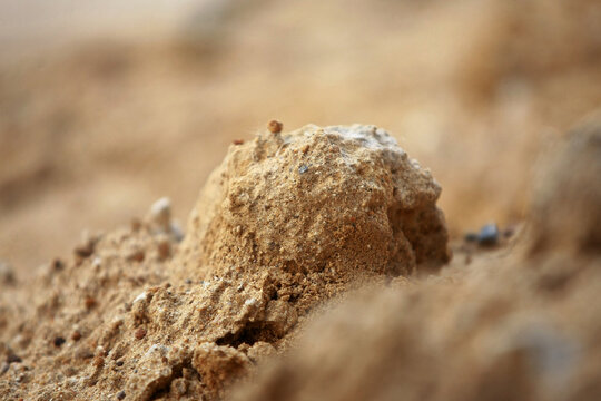 "Sand Texture" bilder – Bläddra bland 4,901 stockfoton, vektorer och ...