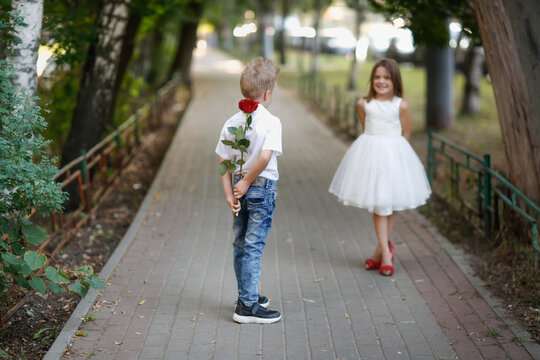 Courtship Images – Browse 42,270 Stock Photos, Vectors, and Video ...