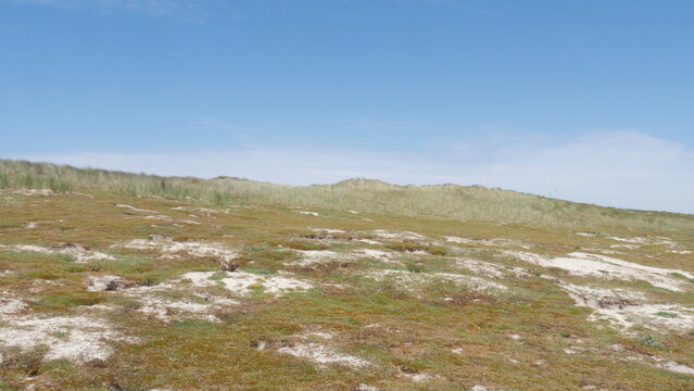 Herbeux Bilder – Durchsuchen 228 Archivfotos, Vektorgrafiken und Videos ...