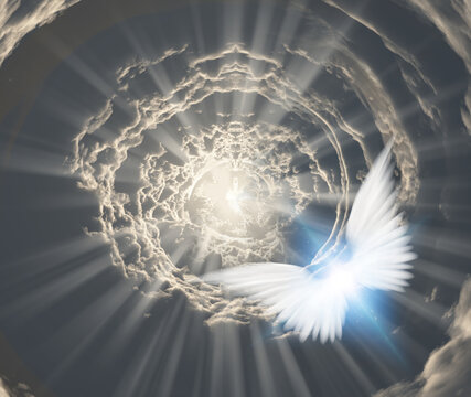 Todesengel Bilder – Durchsuchen 37,565 Archivfotos, Vektorgrafiken und ...