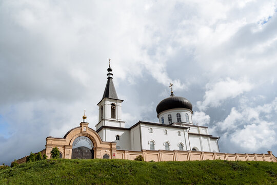 "Birsk Billeder – Gennemse 89 stockfotos, vektorer og videoer | Adobe Stock