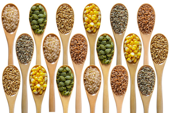 Multigrain Images – Browse 15,038 Stock Photos, Vectors, and Video ...