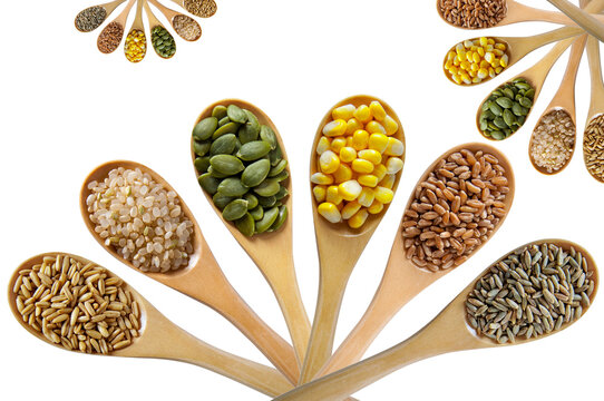 Multigrain Images – Browse 15,038 Stock Photos, Vectors, and Video ...