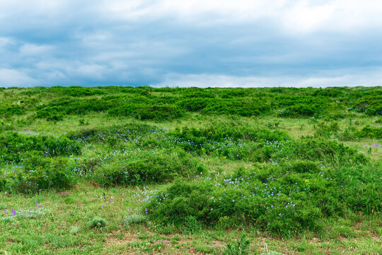 Scrubland Bilder – Durchsuchen 33,435 Archivfotos, Vektorgrafiken und ...
