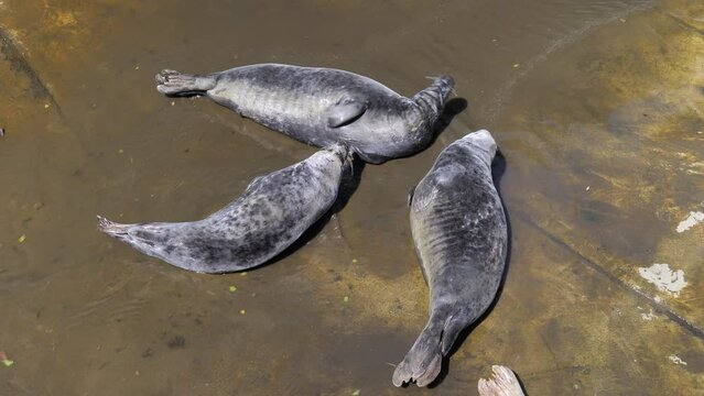 Bask Images – Browse 270,629 Stock Photos, Vectors, and Video | Adobe Stock