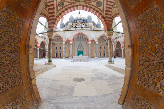 Imágenes de Mimar: descubre bancos de fotos, ilustraciones, vectores y ...