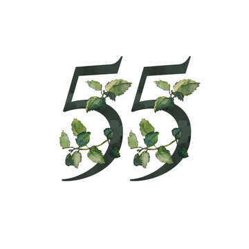 "Number 55" Images – Browse 343 Stock Photos, Vectors, and Video ...