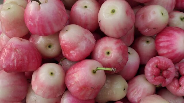 Jamalac Images – Browse 2,165 Stock Photos, Vectors, and Video | Adobe ...