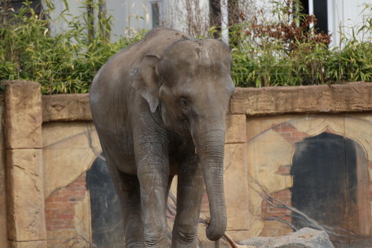 รูปภาพHauer – เลือกดูภาพถ่ายสต็อก เวกเตอร์ และวิดีโอ6,146 | Adobe Stock