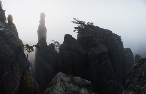 Pfaffe Bilder – Durchsuchen 2,168 Archivfotos, Vektorgrafiken und ...