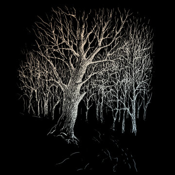 Silver On The Tree