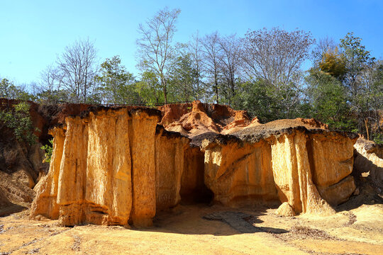 Funnily Images – Browse 2,899 Stock Photos, Vectors, and Video | Adobe ...