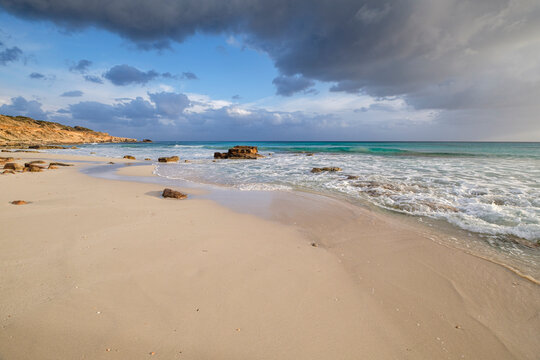 Pitiusas Images – Browse 2,202 Stock Photos, Vectors, and Video | Adobe ...