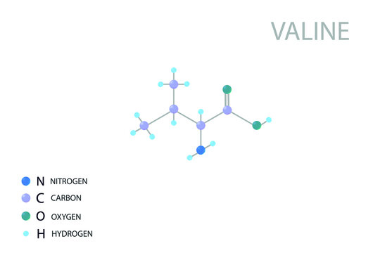 Valine Structural Formula