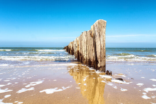 Cadzand-Bilder: Stock-Fotos & -Videos. | Adobe Stock