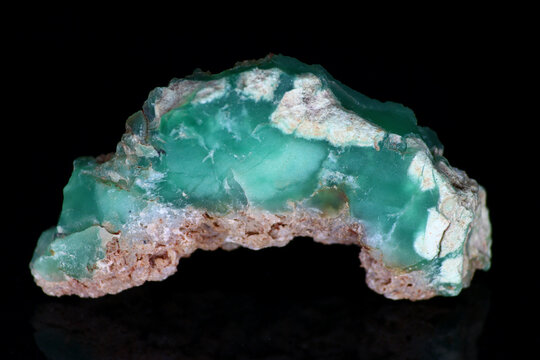 รูปภาพChrysoprasus – เลือกดูภาพถ่ายสต็อก เวกเตอร์ และวิดีโอ1,159 ...