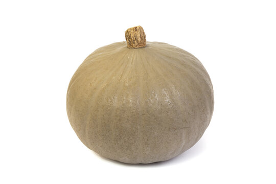 「Potiron」の画像 - 3,859 件の Stock 写真、ベクターおよびビデオ | Adobe Stock