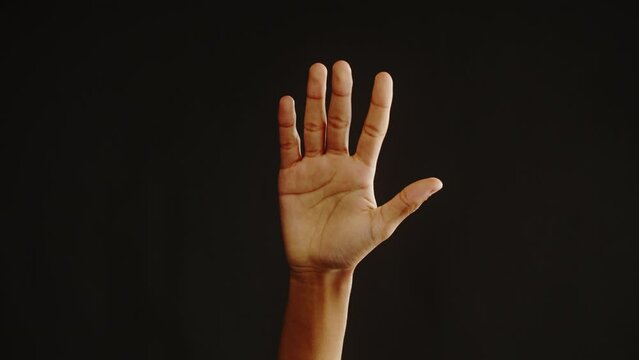 Human Hand Palm Images – Browse 1,348,217 Stock Photos, Vectors, and ...