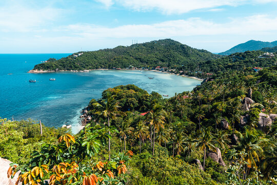 Suwan bilder – Bläddra bland 424 stockfoton, vektorer och videor ...