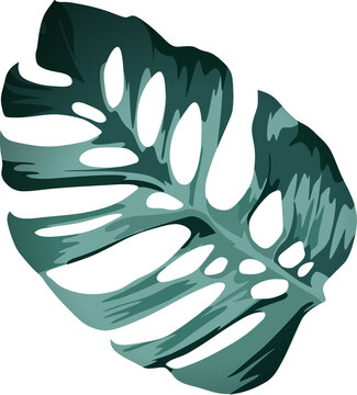 James Thew photos, images, assets | Adobe Stock