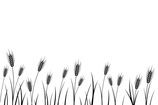 Grainfield Bilder – Durchsuchen 15,644 Archivfotos, Vektorgrafiken und ...