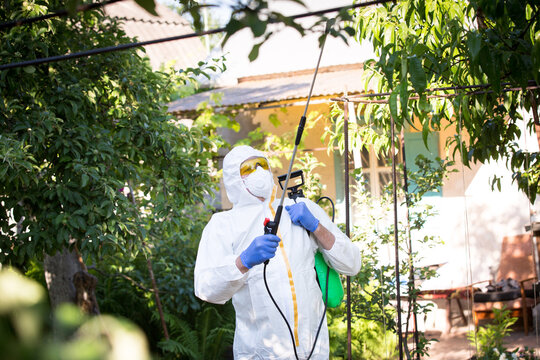Imágenes de Fumigando: descubre bancos de fotos, ilustraciones ...