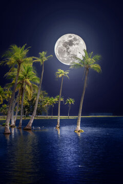 Beautiful Island Pictures At Night