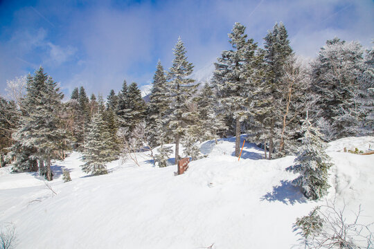 Hotaka Images – Browse 1,882 Stock Photos, Vectors, and Video | Adobe Stock