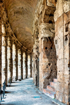 Imágenes de Marcellus: descubre bancos de fotos, ilustraciones ...