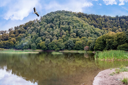 「Dsegh」の写真素材 | 272件の無料イラスト画像 | Adobe Stock