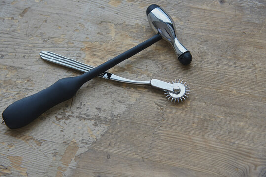 Wartenbergrad Bilder – Durchsuchen 38 Archivfotos, Vektorgrafiken und Videos | Adobe Stock