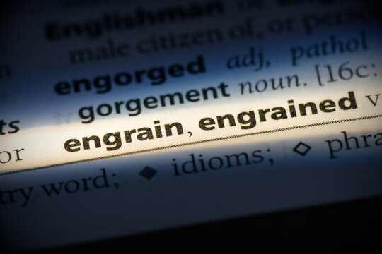 Imágenes de Engrain: descubre bancos de fotos, ilustraciones, vectores ...