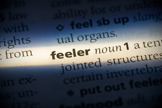 Feeler Images – Browse 9,658 Stock Photos, Vectors, and Video | Adobe Stock