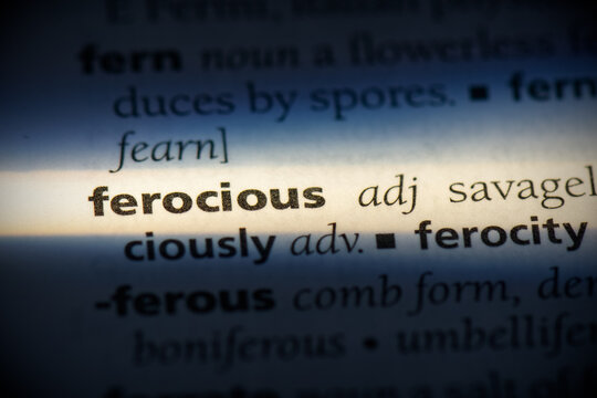 Ferocious 影像 – 瀏覽 844,354 個素材庫相片、向量圖和影片 | Adobe Stock
