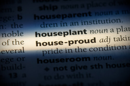 「House-Proud」の写真素材 | 108件の無料イラスト画像 | Adobe Stock