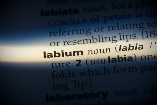 Labium Images – Browse 14,409 Stock Photos, Vectors, and Video | Adobe ...