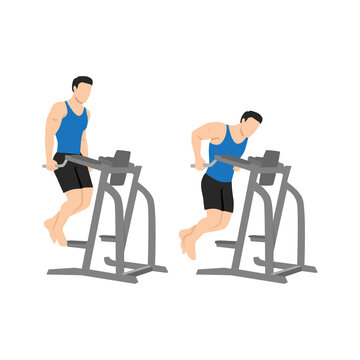 รูปภาพ"Tricep Dips" – เลือกดูภาพถ่ายสต็อก เวกเตอร์ และวิดีโอ132 | Adobe ...